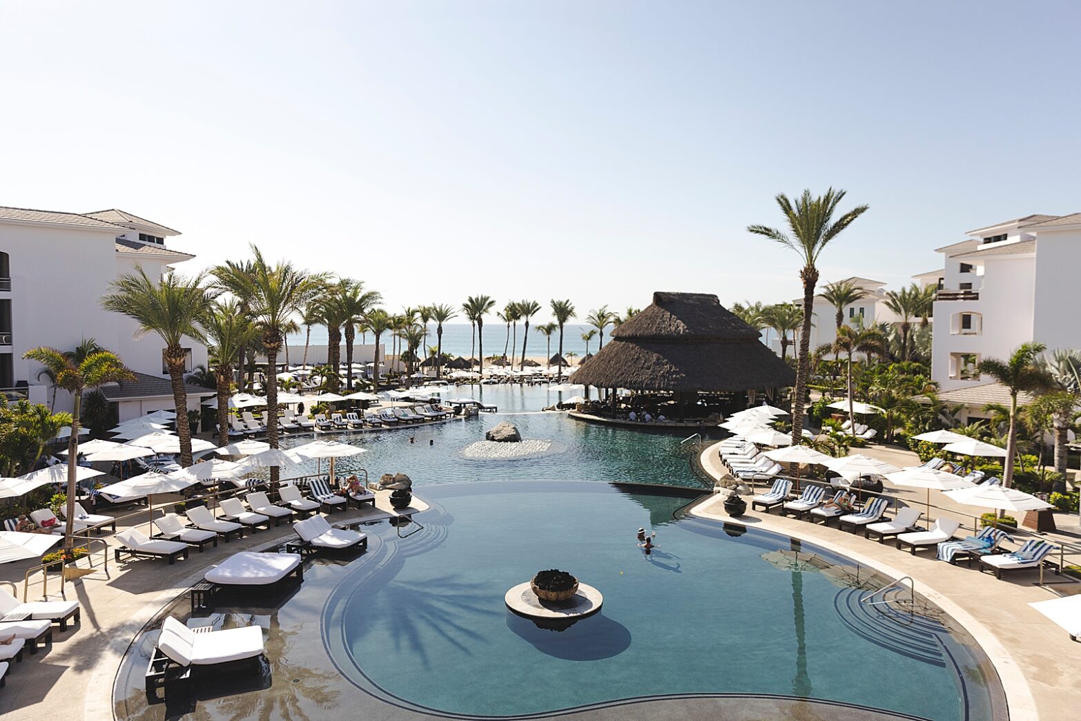 South of the Border: Cabo, Here We Come! - Diversified Restaurant Group